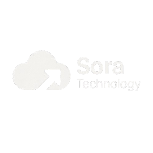 Sora Technologies - Government Contract Technology Solutions
